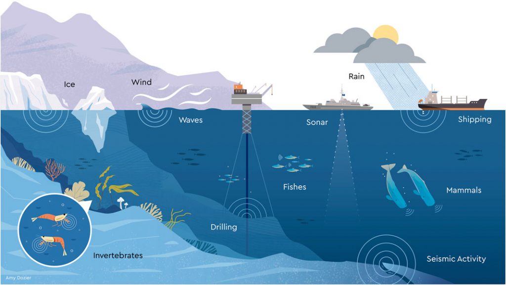 Océans connectés | Des robots planeurs à l’écoute de nos océans - Océans connectés