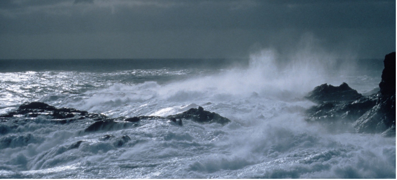 Connected ocean | Artificial intelligence to better understand ocean ...