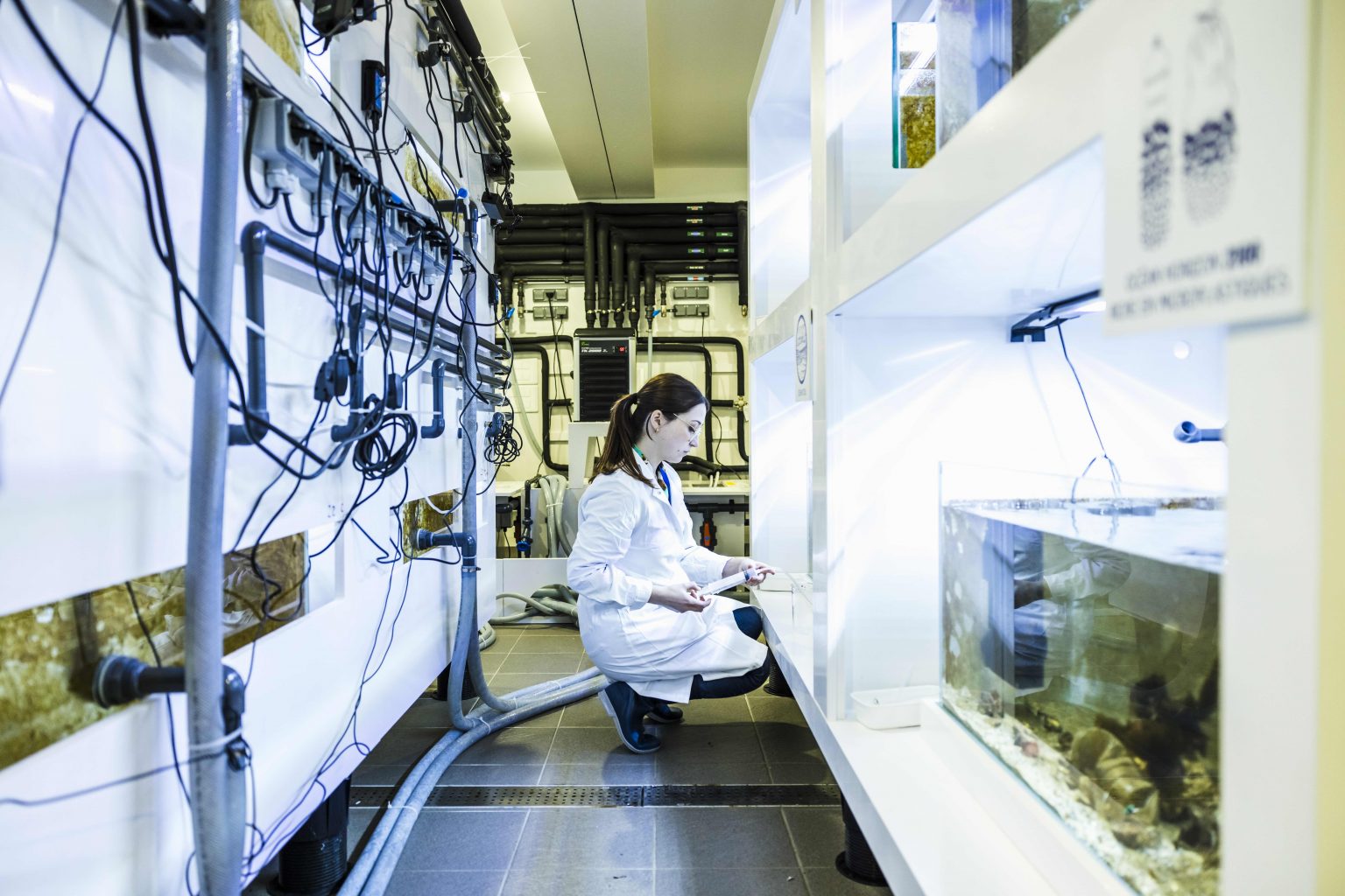 Océans connectés | Océanolab, un laboratoire immersif pour montrer la ...