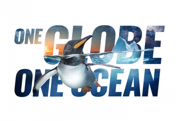 Connected ocean | le média des sciences de la mer