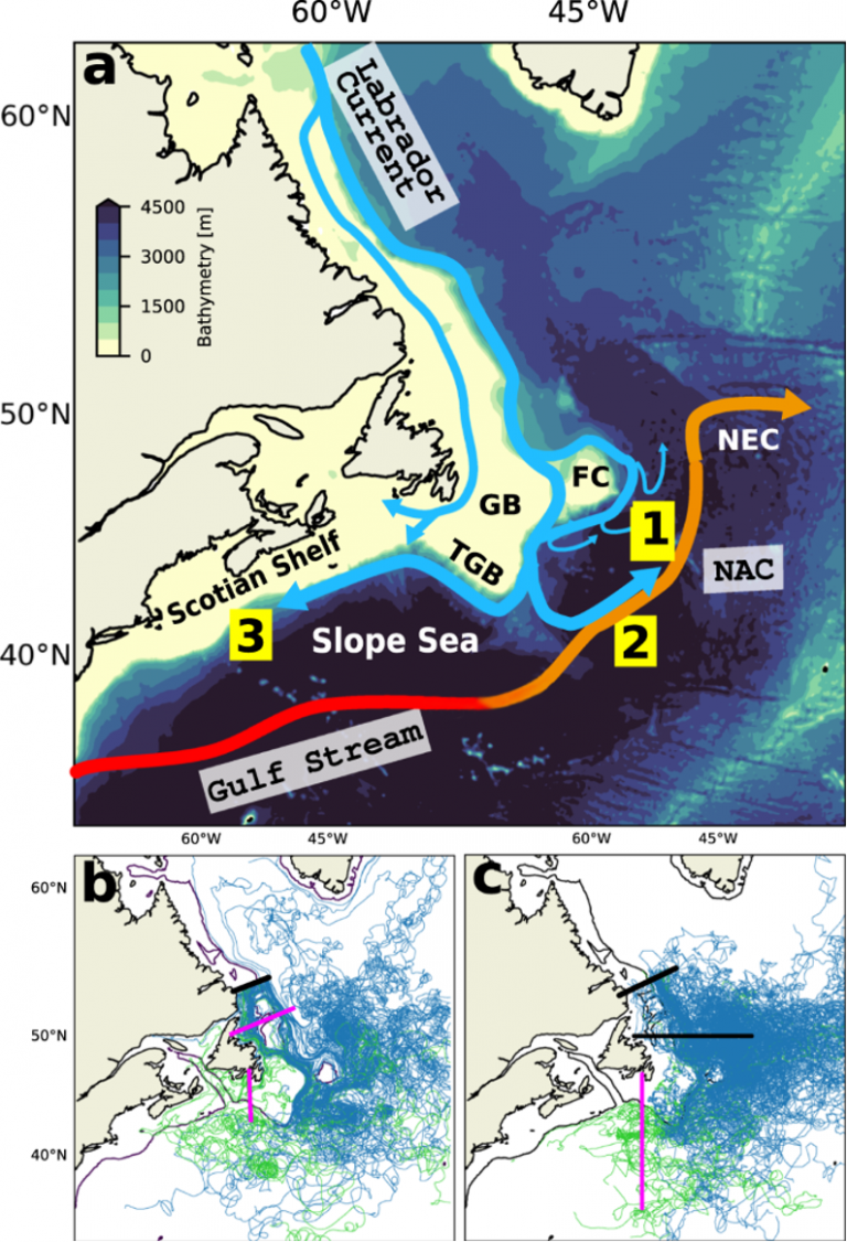 Connected ocean | The deflection of the Labrador Current by the winds ...