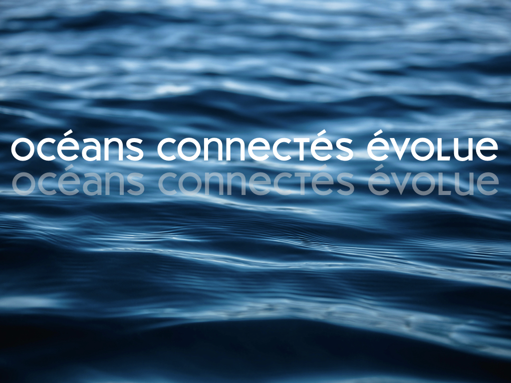 Océans connectés | Pourquoi Océans Connectés passe à un modèle d ...