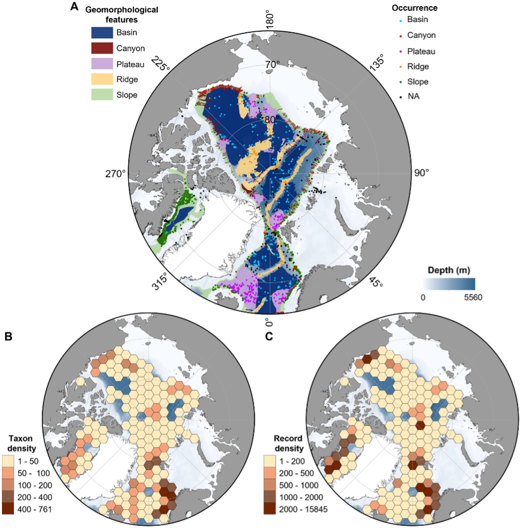 Connected ocean | Unforeseen riches from the Arctic seabed - Connected ...